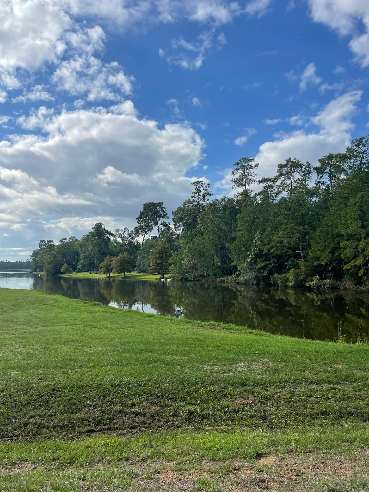 Stroll Magazine | Stroll Lake Windcrest | Magnolia, TX